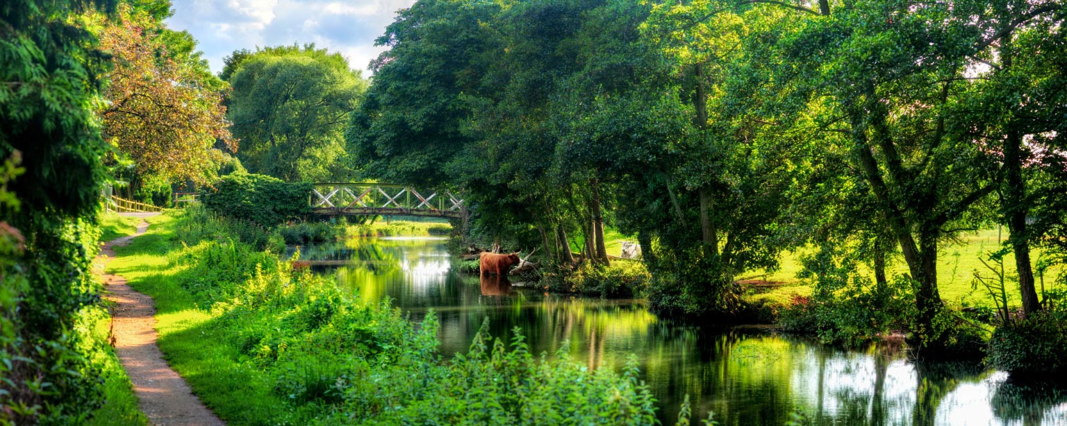 Classic English River Scene - Monet | Large Format Fine Art Photography
